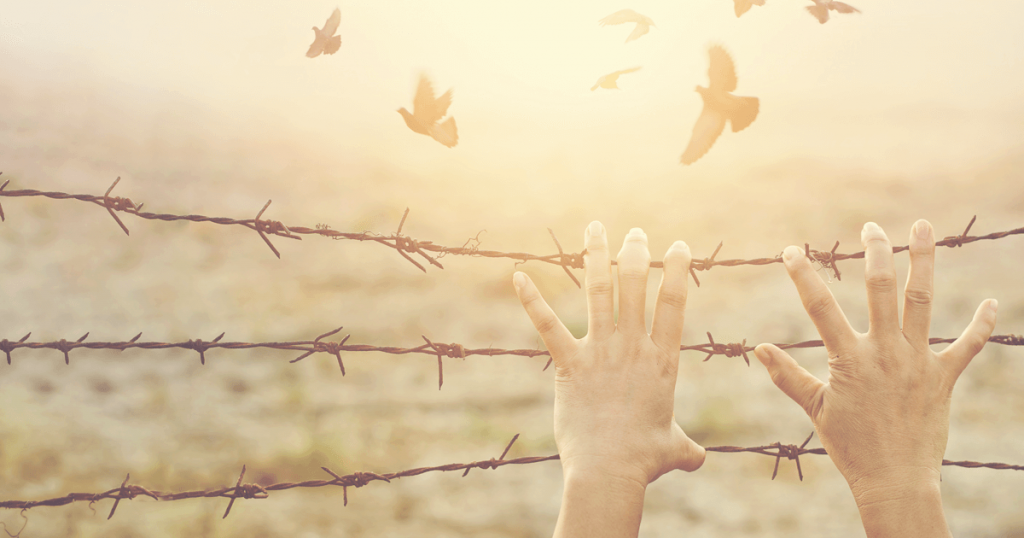 Biblically Responsible Investing for Over 25 Years | Timothy Plan®